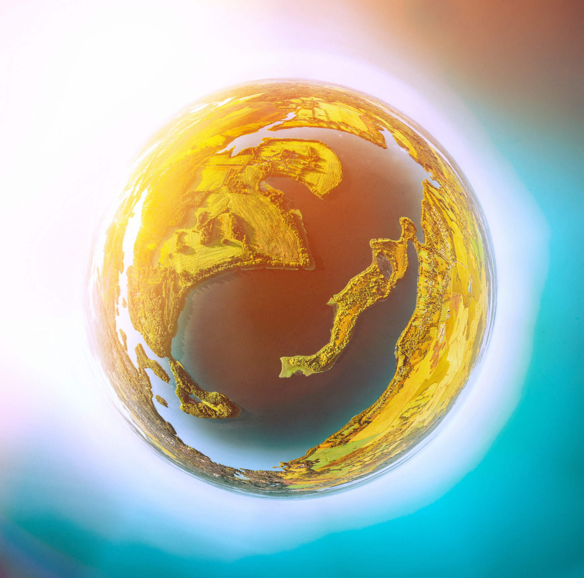 San Diego Design Week 2024